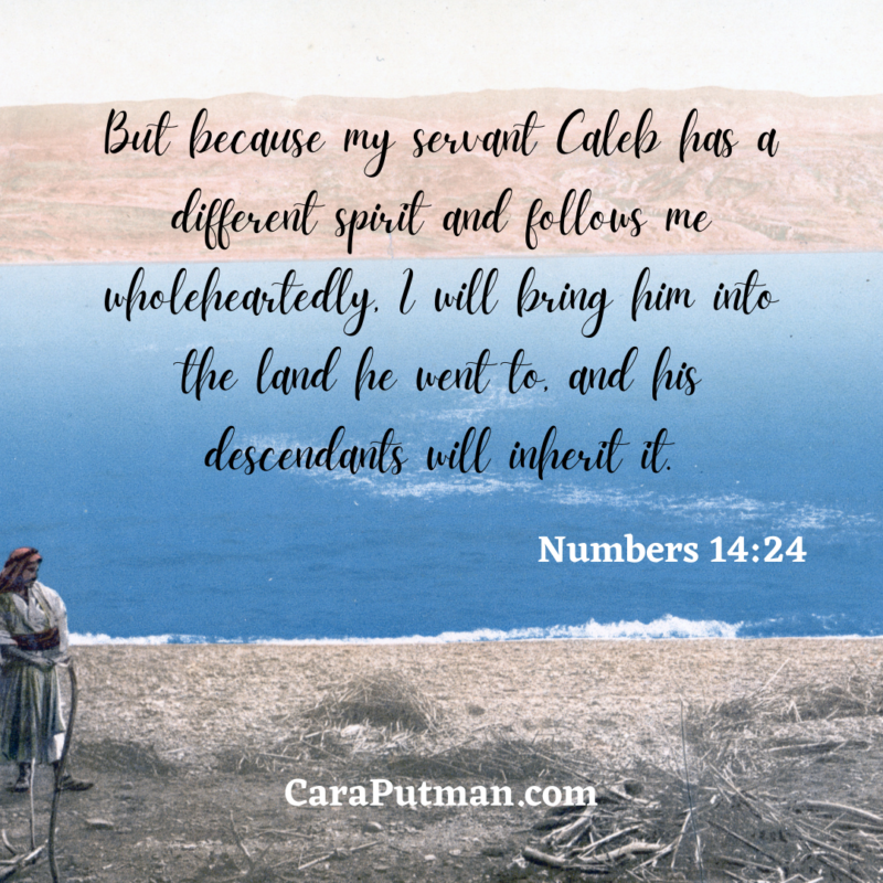 Living with a Different Spirit | caraputman.com