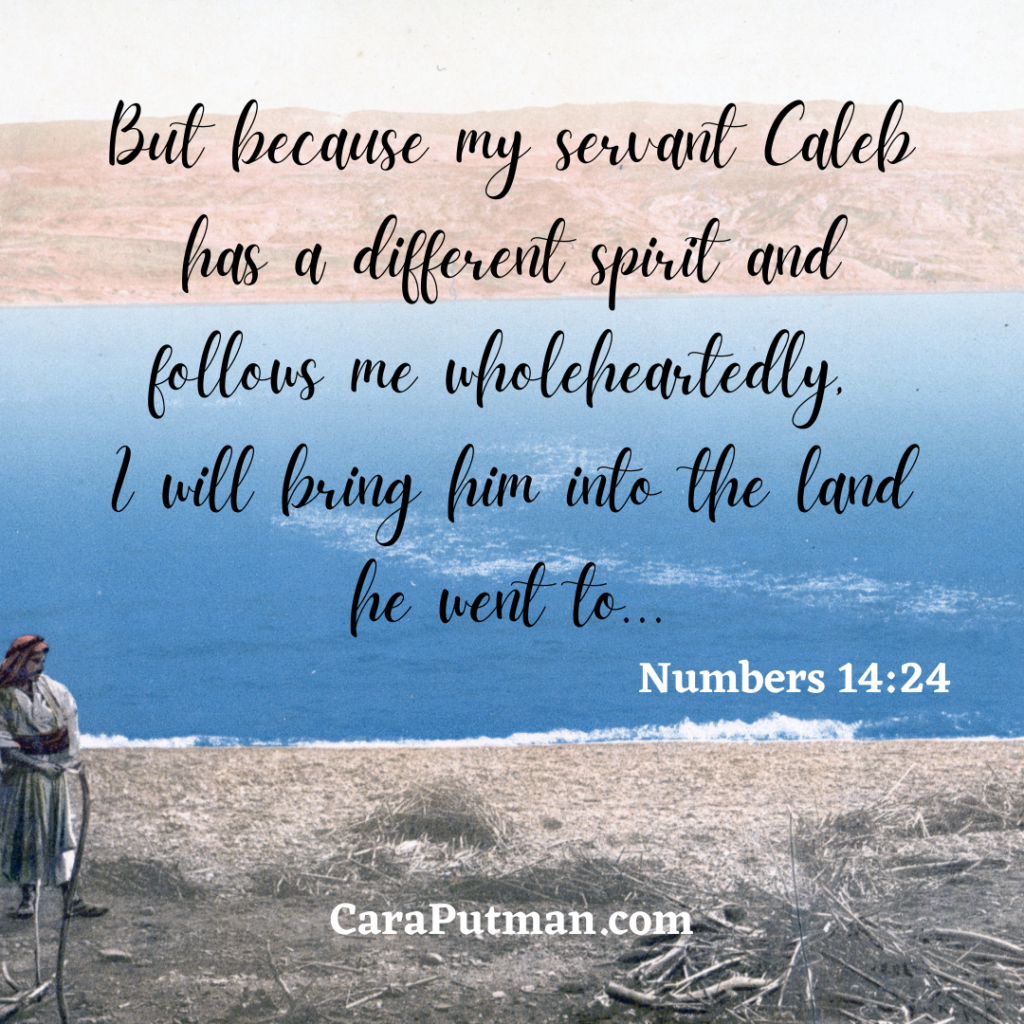 Living with a Different Spirit | caraputman.com